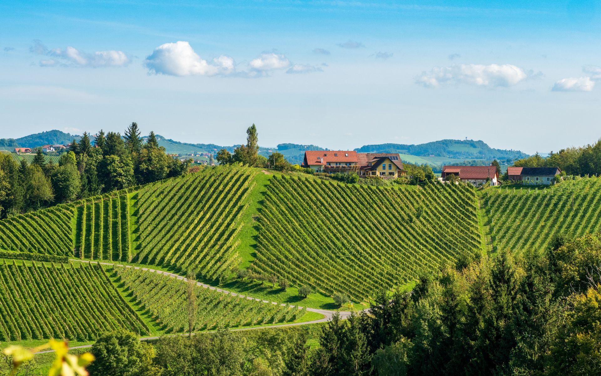 Südsteiermark Seminare, Incentives und Offsites | Tagungshotels in ...